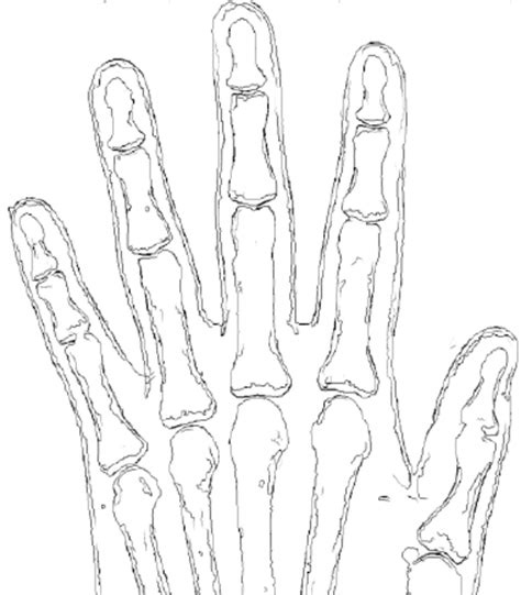 The Values Of The Modified Speed Function For Fig Download Scientific Diagram
