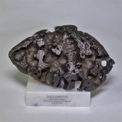 Willamette Meteorite