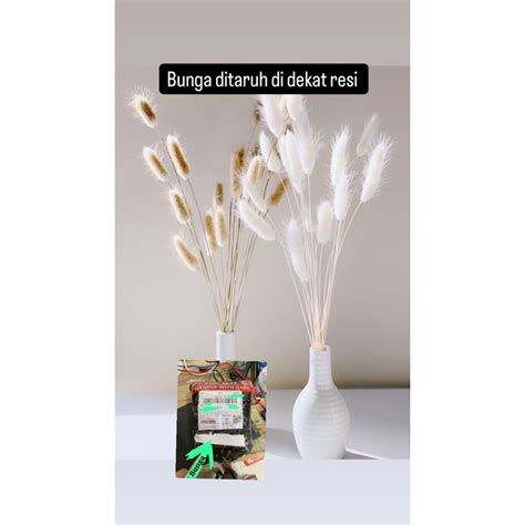 Jual Bunga Kering Untuk Vas Bunga Isi 1 Batang Barang Nya Di Tempel Di Sebelah Resi Shopee