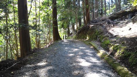 Takao To Hozukyo Hike Via Kiyotaki And Kuya No Taki Waterfall Inside