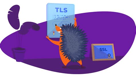 What Is Ssl And Tls Ssl Certificates