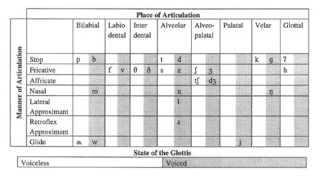 Speech Science Exam Flashcards Quizlet