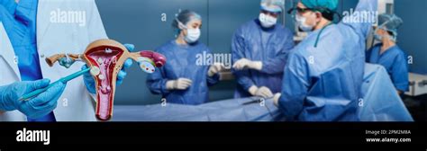 Gynecological Surgery Team Of Surgeons Performing Gynecological
