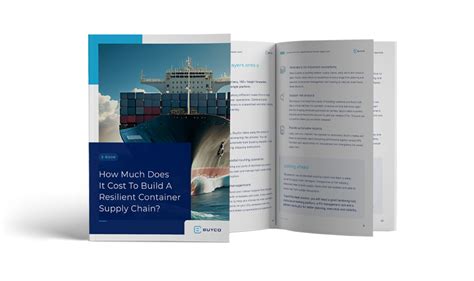 how much does it cost to build a resilient container supply chain