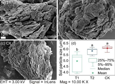 The SEM Patterns Ac And Average Soil Particle Sizes D In Soil Download Scientific Diagram