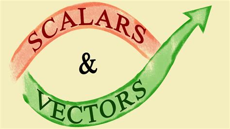 Important Vector Questions For NEET Blogging Hub