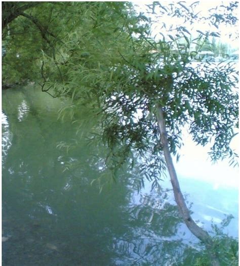 گرداب بن استان چهار محال و بختیاری همه آنچه قبل از رفتن باید بدانید