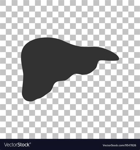 Human Anatomy Liver Sign Dark Gray Royalty Free Vector Image