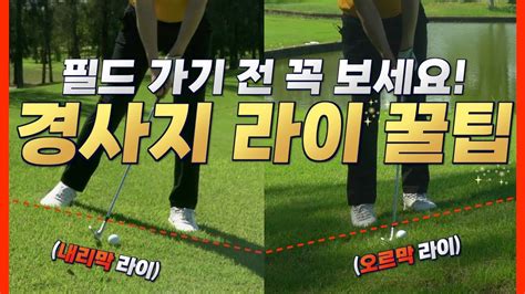 경사지 라이 잘 치는 꿀팁 세 가지만 지키세요내리막 라이 오르막 라이 Youtube