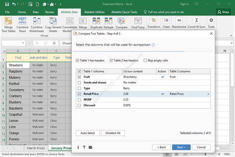 دانلود Ablebits Ultimate Suite For Excel 2024235182151 Business