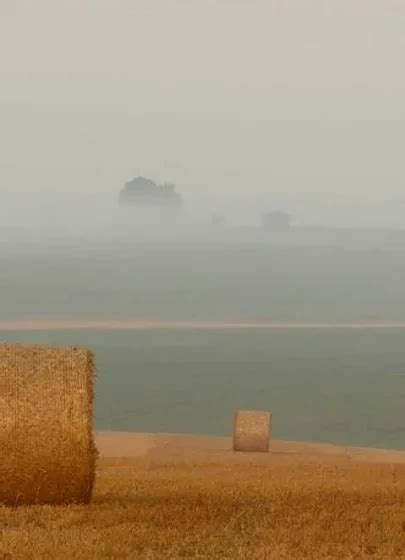 피부 조직검사 비용 안내