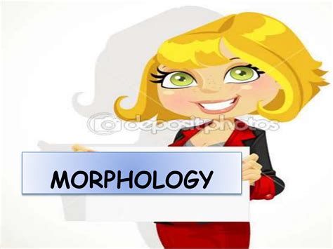 morphology morphological presentation byh ppt