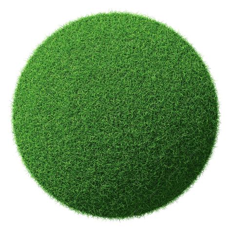 Premium Photo Grass Shape Design Element Isolated