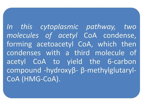 Cholesterol Absorption Synthesis Metabolism Fate PPT Digestive Disorders Diseases And