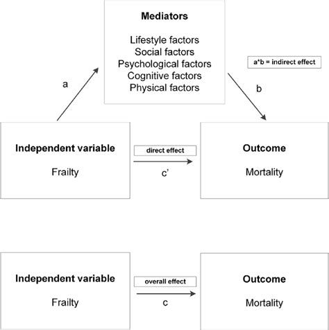 Visual Representation Of The Mediation Analyses Download Scientific