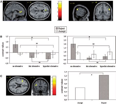 A Brain Regions Acc On Left Mni À 3 42 12 And Tpj On Right Download Scientific