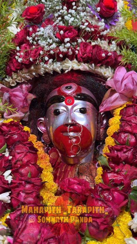 🌺।। জয় মা তারা ।।🌺 🌺।। जय मां तारा ।।🌺 🪔ভক্তদের উদ্দেশ্যে জানায় যদি কোনো পুণ্যার্থী পুজো দিতে