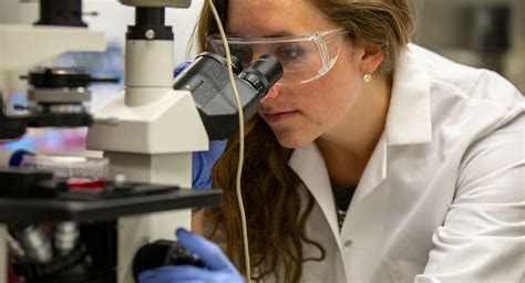 Biomedical Engineering M S University Of South Carolina