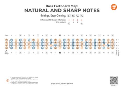 Bass Guitar Fretboard Map Pdf With All Notes In Drop C