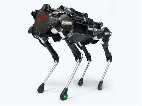 Chinese Startup Unitree Robotics Unveils Laikago Quadruped Robot Boston Dynamics Robot