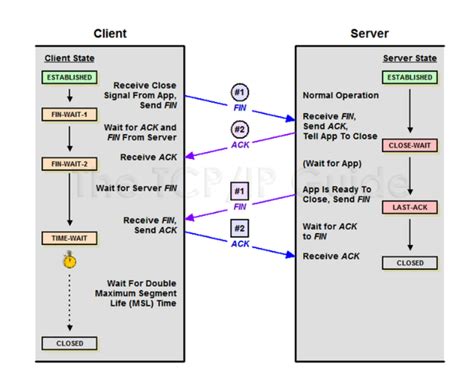 TCP UDP