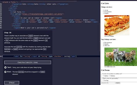 Learn Html By Building A Cat Photo App Step 56 Html Css The