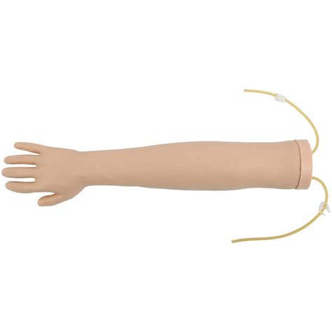 Anatomy Lab Venipuncture And Iv Practice Arm Kit And Simulation Arm