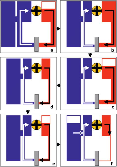 Schematic Presentation Of The Normal Physiologic Control Of Download Scientific Diagram