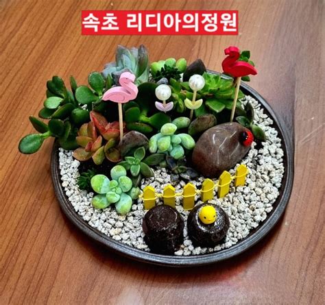 🌵다육아트 속초리디아의정원 다육정원 네이버 블로그