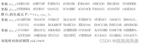 商用密码应用与安全性评估要点笔记（sm9数字签名算法） csdn博客