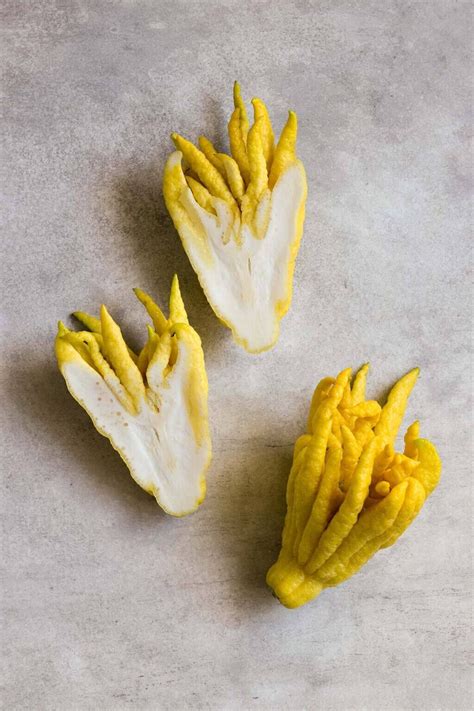 What Is Buddhas Hand And 30 Ways To Use It Foodtasia