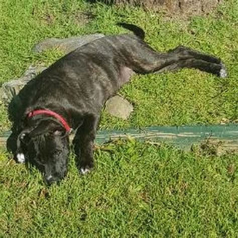 Meagan Thomas Youtube