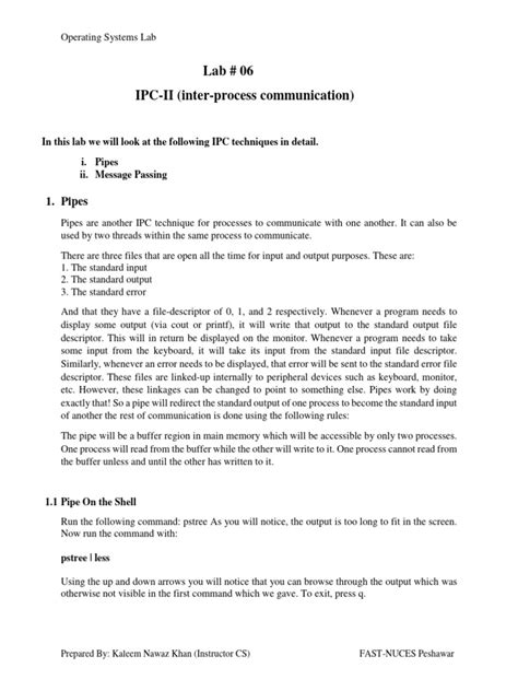 os lab 06 pdf input output software