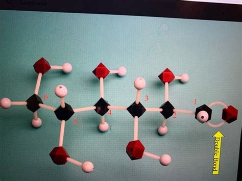 Models Flashcards Quizlet Models Flashcards Quizlet