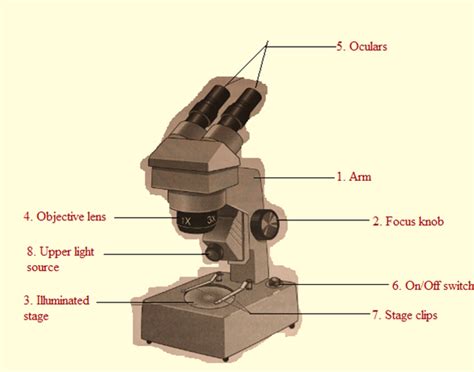 Answered Microscopy 45 Use Of The Dissecting Bartleby