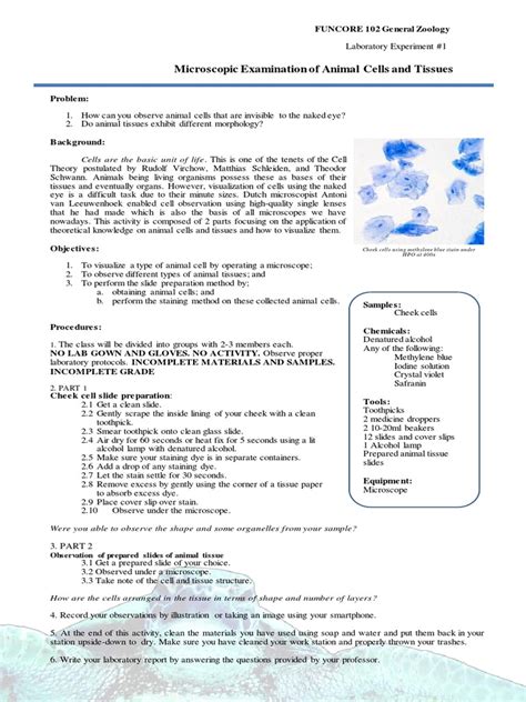 Lab Activity 1 Microscopy And Histologic Examination Pdf Staining Microscopy