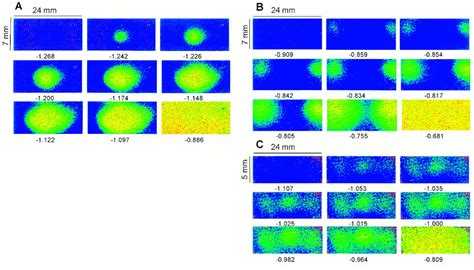 Doc Madhattan Turing Patterns In Coats And Sounds