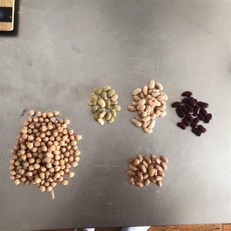 Countdown 5 Bean Conspiracy Rnewzealand