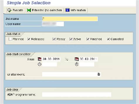 Sap Lsmw Batch Scheduling