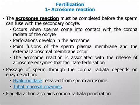 Fertilization Ppt