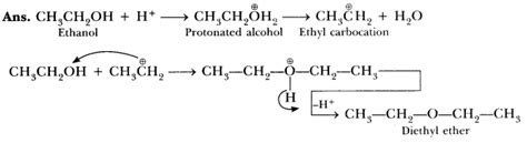 Ethers Properties Preparation And Reactions Class 12 Pdf Download