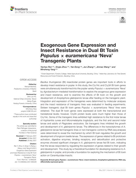 Pdf Exogenous Gene Expression And Insect Resistance In Dual Bt Toxin