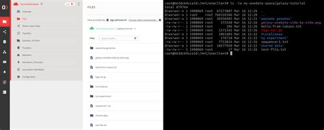 hands on getting started with onedata distributed storage getting started with onedata