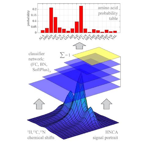 Filenetwork Structurepng Spinach Documentation Wiki