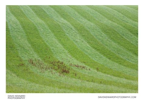 Striped Grass Field · David Kennard Photography