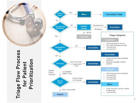 Triage Process Prioritization Requirement Success Categorization Evaluate Presentation