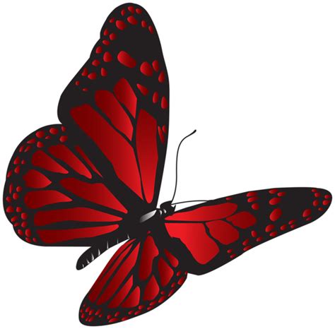 Butterfly Red Clip Art Red Butterfly Png Download 600 591 Free