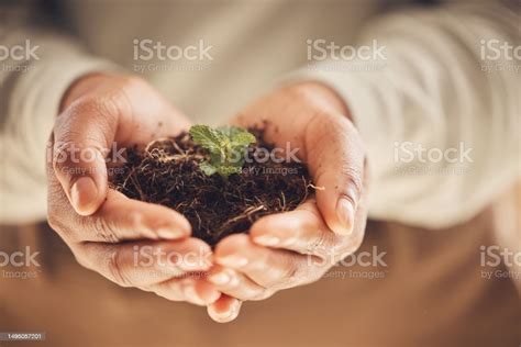지구의 날 인식과 농업을 위한 성장과 손 환경과 자연이 있는 생태학 토양 및 식물 사람 비료 및 농업과 함께 성장 나뭇잎 및 지속 가능성 클로즈업 20 24세에 대한 스톡