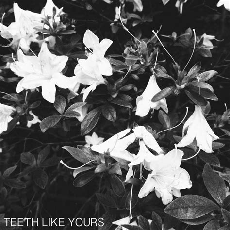 Since May Teeth Like Yours