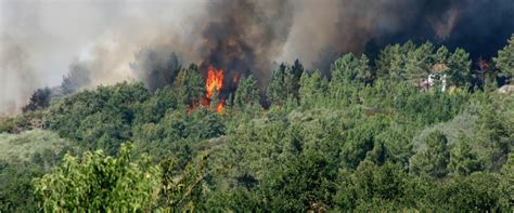 How to Use AI Computer Vision for Wildfire Detection | Chooch